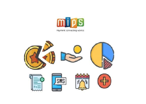 MiPS is a feature-oriented payment gateway – MIPS News